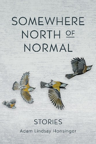 Somewhere North of Normal by Adam Lindsay Honsinger (English) Paperback ...