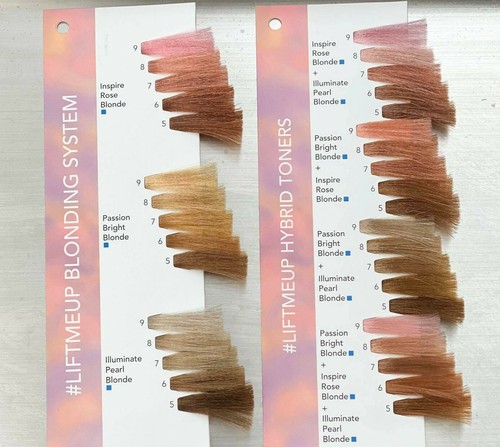 #mydentity Guy Tang Lift Me Up Swatch Page Set 2734822 | eBay