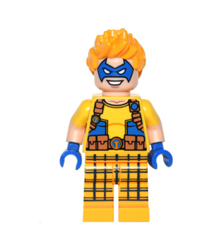 Lego Trickster Video DVD Promo Exclusive Justice League Super Heroes ...