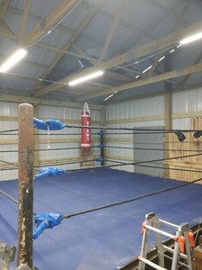 pro wrestling ring products for sale | eBay