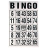 Large Print Laminated Bingo Cards - 11" x 17" Low Vision, Spill Proof ...