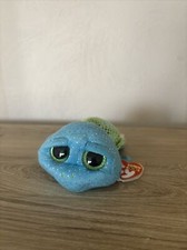Cara the Sea Turtle - Beanie Boos - Beaniepedia