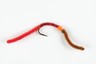 Fly Fishing Flies (Bass, Bream, Catfish, Perch, Trout) Red Hot Worm (6 ...