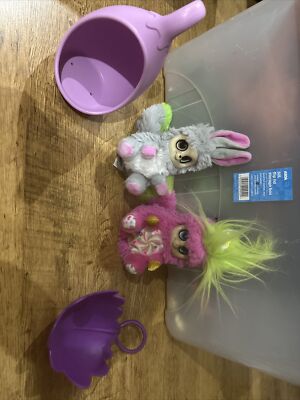 Bush Baby for sale | eBay