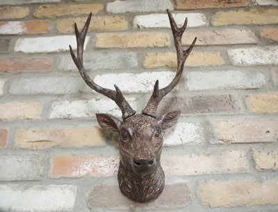 Mounted Stags Head for sale | eBay