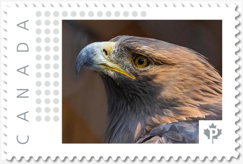 EAGLE = FALCON = BIRD OF PREY = Picture Postage Canada 2019 [p19-04-s16 ...
