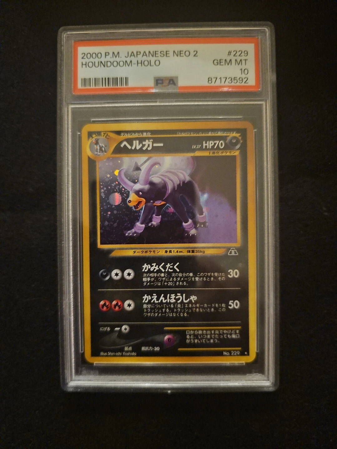 Houndoom 2000 Japanese Crossing the Ruins #229 Holo Price Guide ...