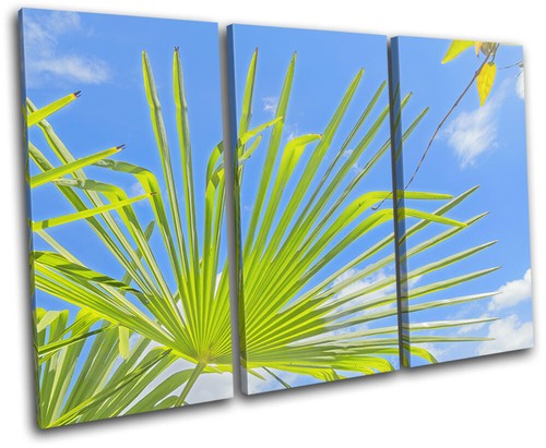 Leaves Botanical Green Plant Floral TREBLE CANVAS WALL ART Picture ...