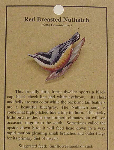3-NEW RED BREASTED NUTHATCH BIRD HAT PIN LAPEL PINS | eBay