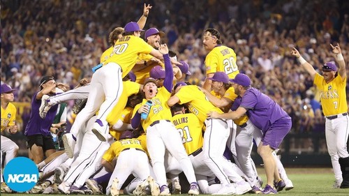 LSU TIGERS WINS 2023 COLLEGE BASEBALL WORLD SERIES 8X10 PHOTO W/BORDERS ...