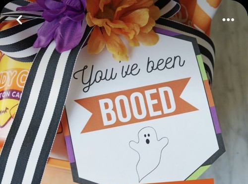 Mary Kay Mystery Boo bags | eBay