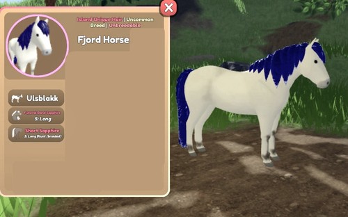 Wild Horse Islands 🌸 IUH Ulsblakk Fjord Sapphire Rare Coat 🌸 | eBay