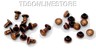 6mm Diameter Antique Brass Plated Compression Rivets Package of 12 | eBay