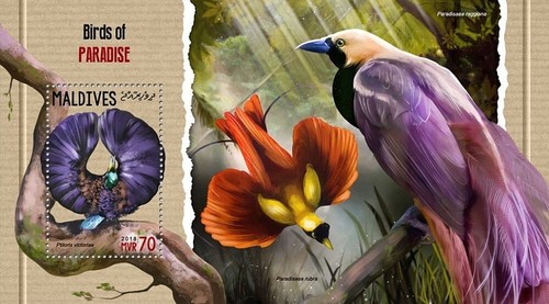 BIRDS OF PARADISE 1-Value MNH Bird/Birds Stamp Sheet #283 (2018 ...