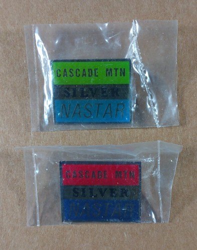 NASTAR SILVER Cascade Mountain Wisconsin Ski Pins | eBay