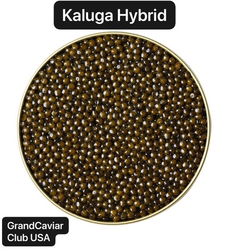 Kaluga Hybrid 50 Gram Black Caviar In Sealed Tin Classic Choice 24-48hr ...