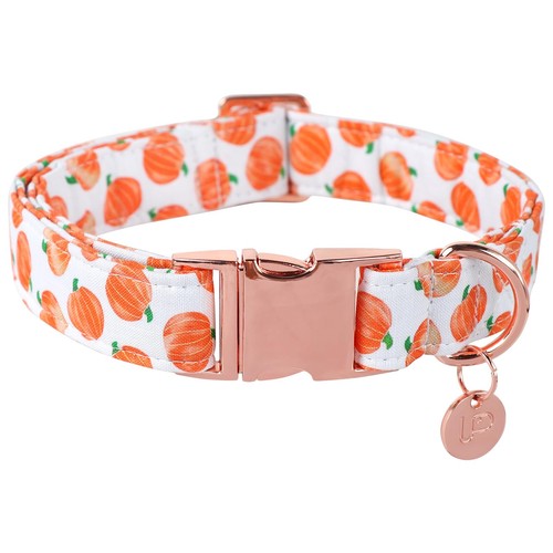 Halloween Dog Collar with Metal Buckle Gift Fall Dog Collar for Small ...