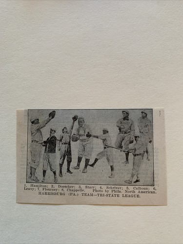 Harrisburg Senators Billy Hamilton Pop Schriver 1906 Baseball Team ...