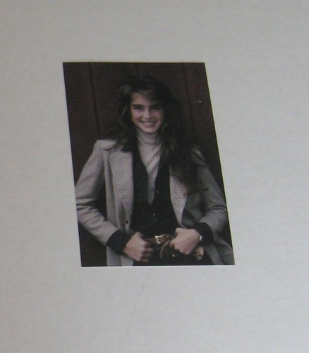 Brooke Shields RARE 4x6 inch PRINT photograph PHOTO picture | eBay