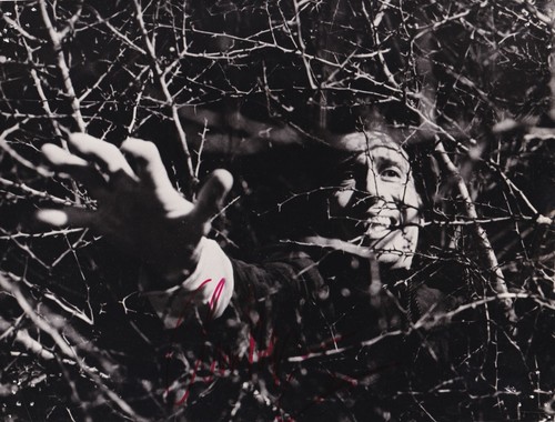 CHRISTOPHER LEE . Autograph . Hand signed . 7-9 Inch . Very good ...