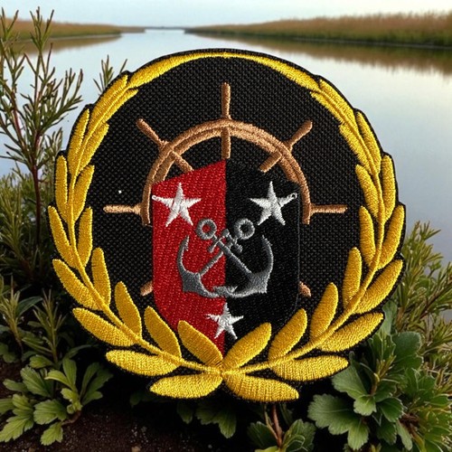 Pirate Shield Embroidery Patch 2.77" -5.31" Multi Sizes | eBay