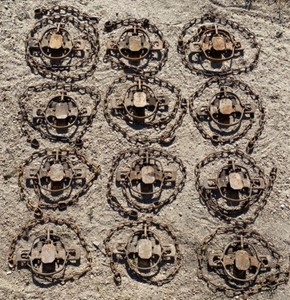 northwoods traps products for sale | eBay