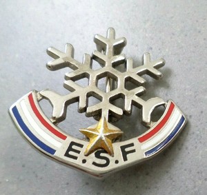 Flocon esf | eBay