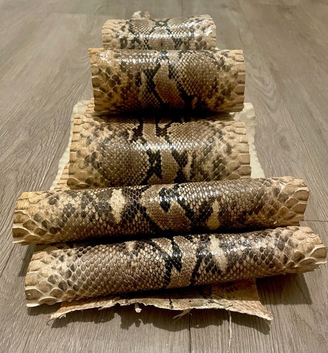 GENUINE FULL PYTHON SNAKE SKIN HIDE 3.60 meters GRADE A NATURAL COLOR ...