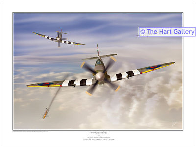 signed spitfire print products for sale | eBay UK