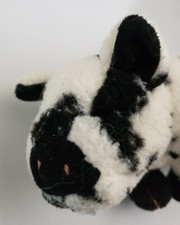 Stubby the Pig - Beanie Babies - Beaniepedia