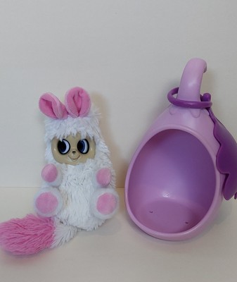 Bush Baby for sale | eBay