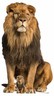 LION - LIFESIZE CARDBOARD CUTOUT / STANDEE Standup zoo animal big cat ...
