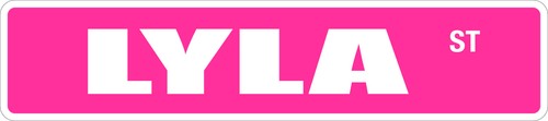 *Aluminum* Lyla 4" x 18" Metal Novelty Street Sign SS 2414 | eBay