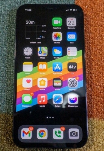iPhone 12 Pro Max 256GB Mint Condition | eBay