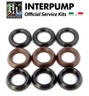 OEM Interpump / GP Kit169 Valve Kit TSF1819, TSF2221, TSF2021, TSF2421 ...