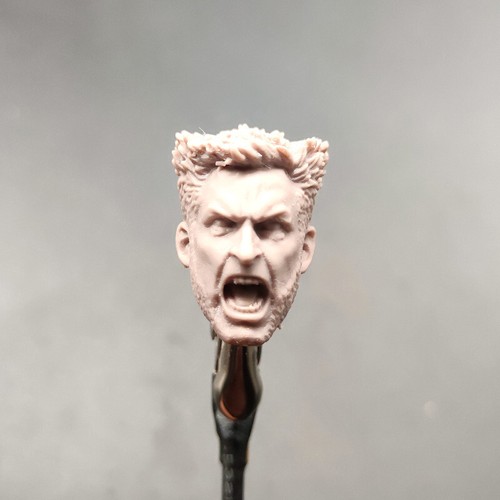 Blank 1/12 Scale X-Men Roaring Wolverine Head Sculpt Unpainted Fit 6 ...