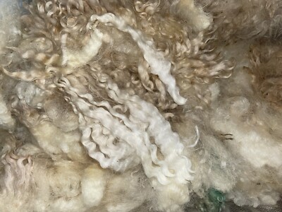 Raw Fleece for sale | eBay