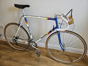 Raleigh Team for sale | eBay