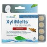 Xylimelts Dry Mouth Discs MILD MINT 40ct ( 3 pack ) 120 tabs! NEW LOOK ...