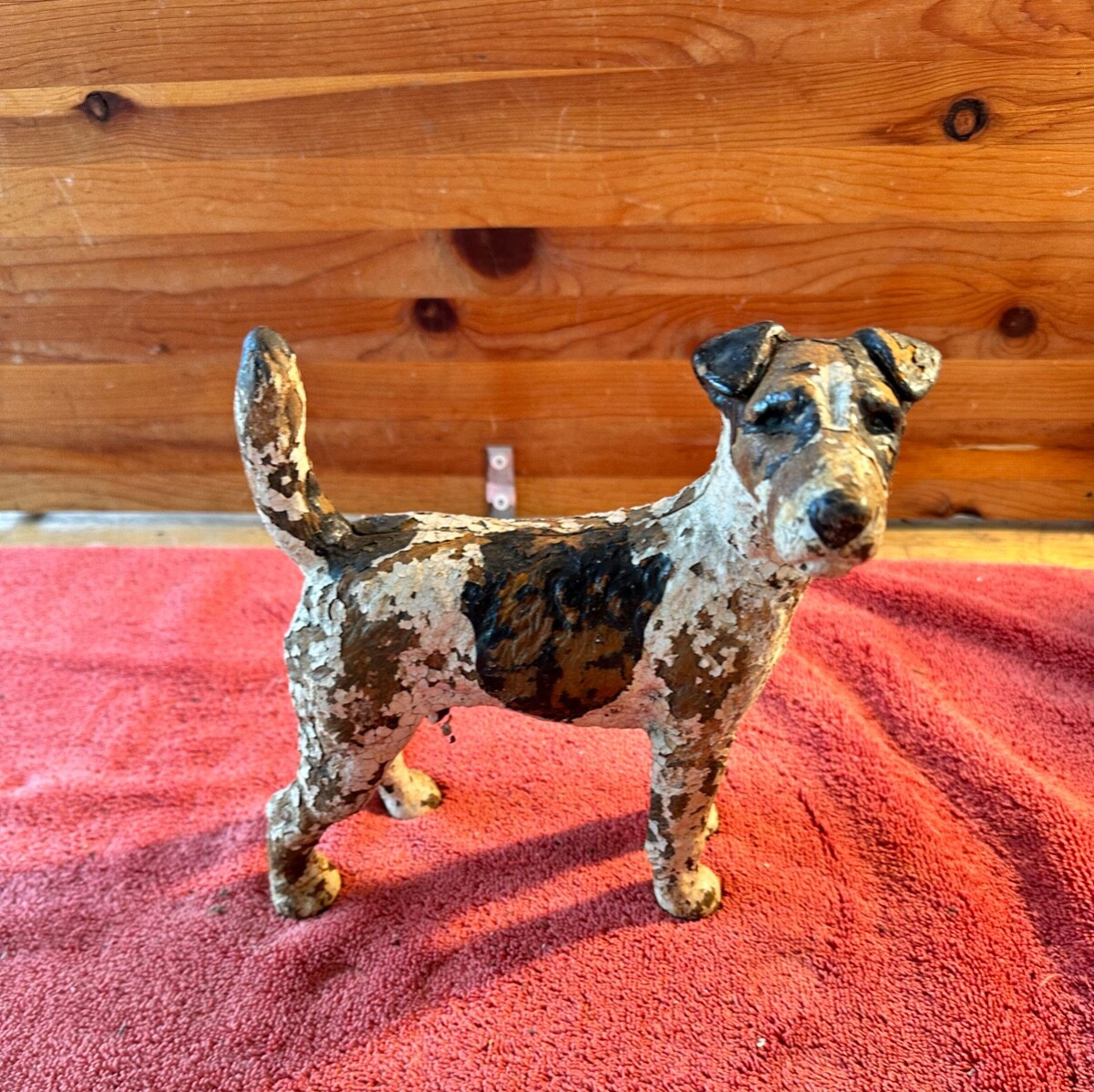 Fox Terrier De Fio Branco