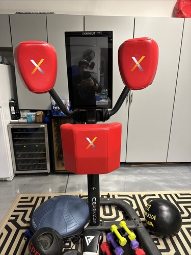 Nexersys N3 Boxing And Sparring Trainer, Interactive Machine | eBay