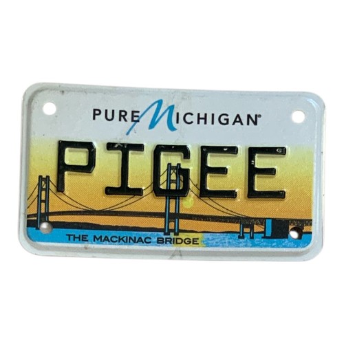 COOL HD VANITY MOTORCYCLE CYCLE LICENSE PLATE " PIGEE " HOG HARLEY ...