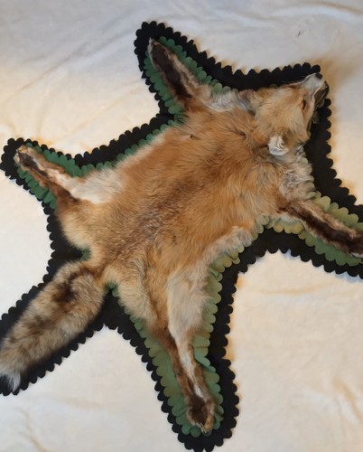 Vintage RED FOX TAXIDERMY RUG, MOUNT WITH HEAD - PELT, FUR, SKIN, HIDE ...