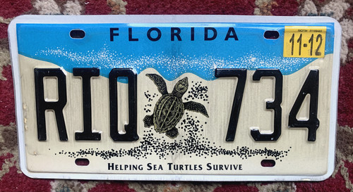 FLORIDA HELPING SEA TURTLES SURVIVE MARINE WILDLIFE SPECIALTY LICENSE ...