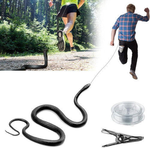Snake Prank with String Clip, Fake Snake on a String Prank, Realistic ...