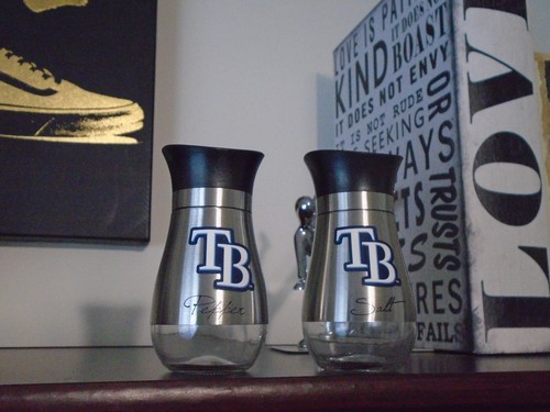 Tampa Bay Rays MLB Baseball Team Logo Stainless Steel Salt & Pepper ...