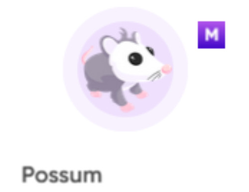 Adopt Pets Me No Pot Mega Neon or Neon Possum Free with purchase of ...