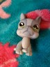 Littlest Pet Shop LPS Blue dog, Boston Terrier, bat eyes 857 | eBay