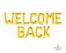 WELCOME HOME Letter Balloon Banner - Gold, Rose Gold and Silver | eBay