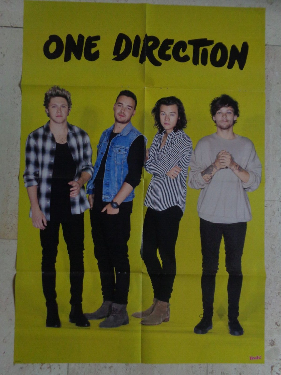 One Direction Poster 2013